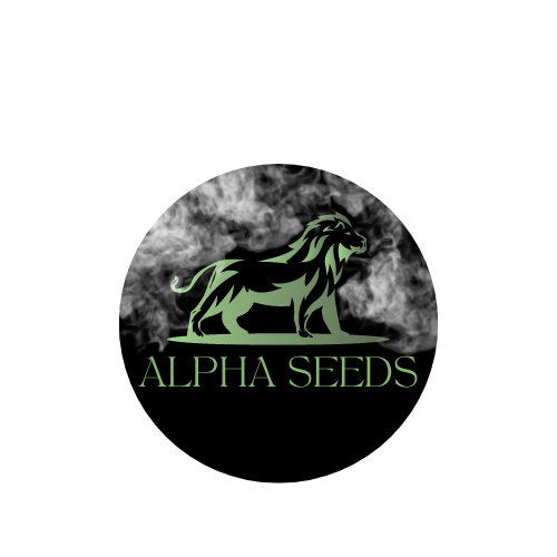 Buy Cannabis Seeds Online | – Alpha Seeds